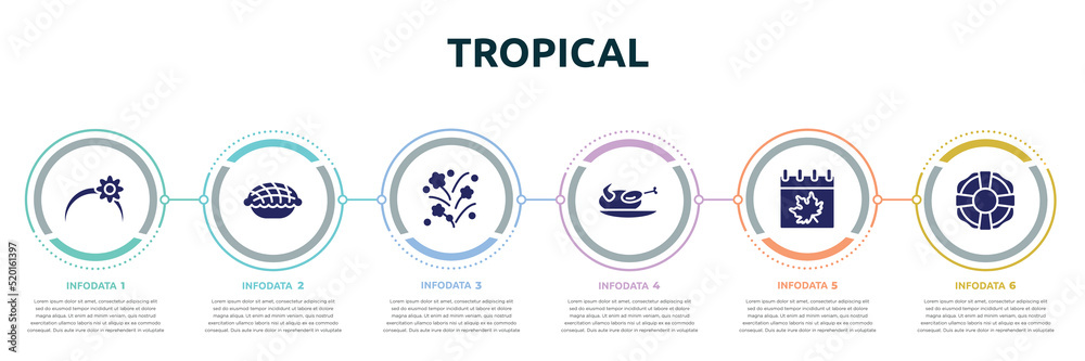 tropical concept infographic design template. included headband, pie ...