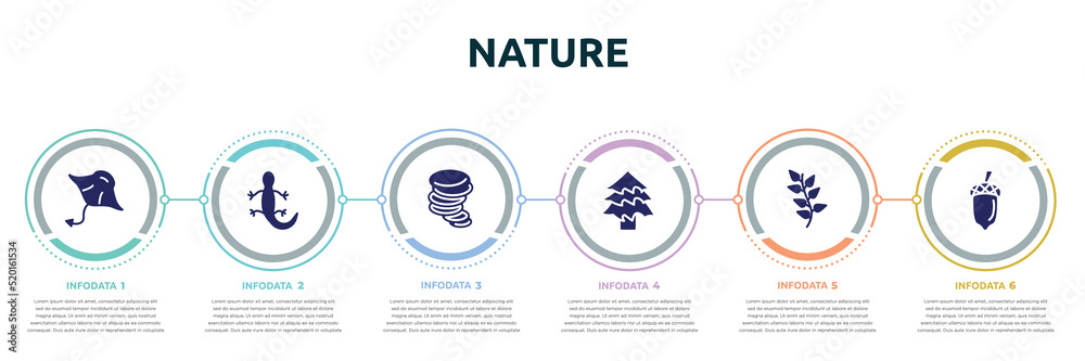 nature concept infographic design template. included manta ray, lizard ...