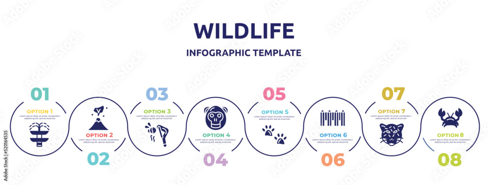 wildlife concept infographic design template. included fountain ...