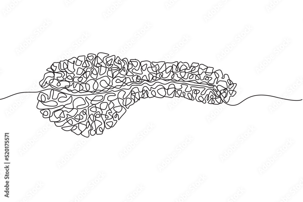 Pancreas Hand drawn icon continuous line drawing. Human organs Creative ...