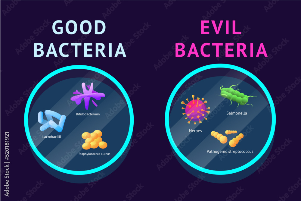 Good and bad bacteria. Lactobacillus and probiotic. Microbe germs in ...