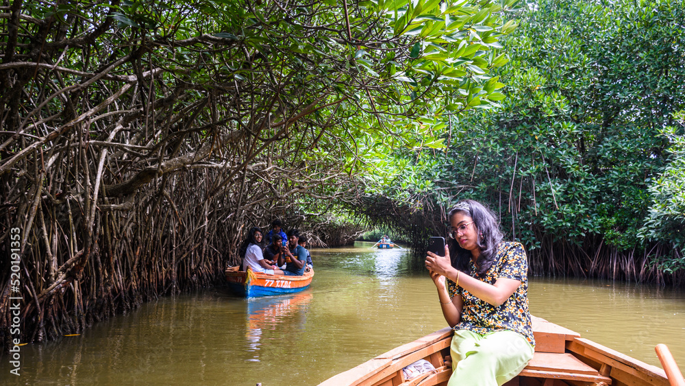 Young Indian woman boating through Pichavaram Mangrove Forests. The ...