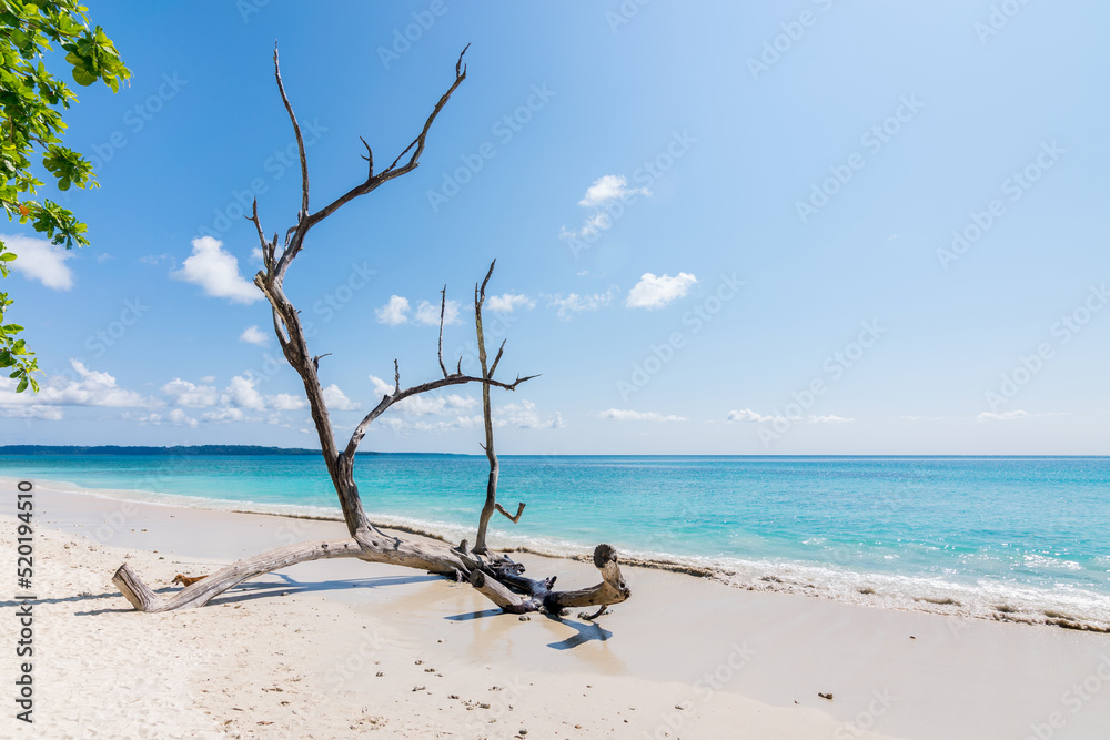 Carbonate (White) Sand Beach | Kalapathar Beach | Havelock Islands ...