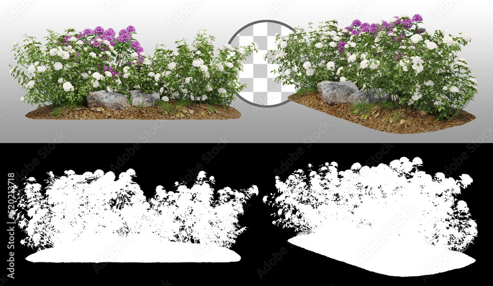 Cutout flowering bush isolated on transparent background via an alpha ...