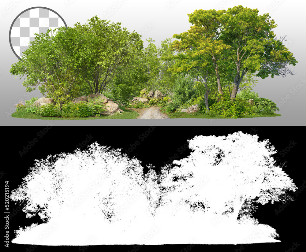 Coniferous forest pathway. Cutout trees isolated on transparent ...