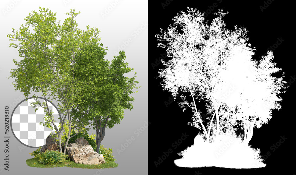 Group of trees among the rocks. Cutout trees isolated on transparent ...