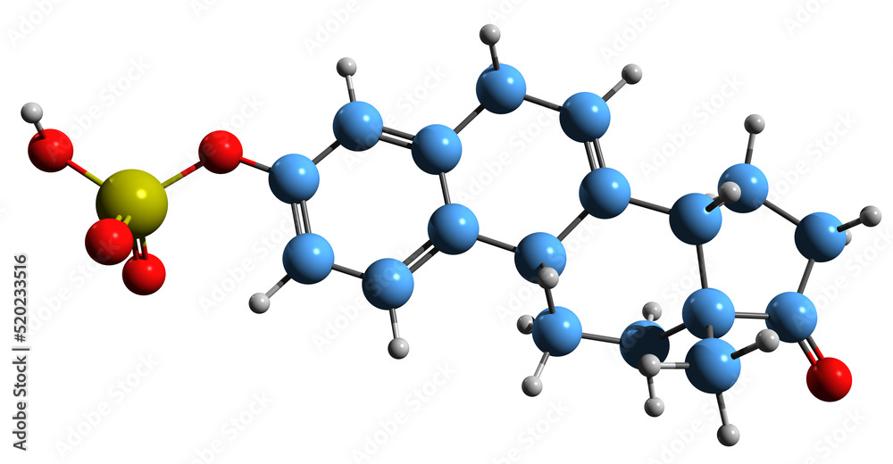 3D image of Equilin sulfate skeletal formula - molecular chemical ...