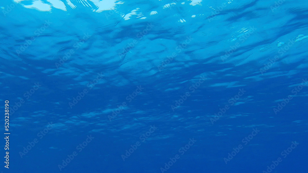 Surface of the sea. Natural background with sun glints on surface of ...