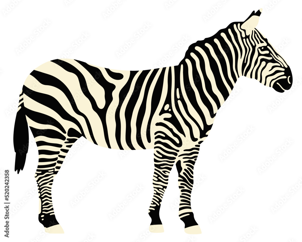 standing zebra vector illustration Stock Vector | Adobe Stock