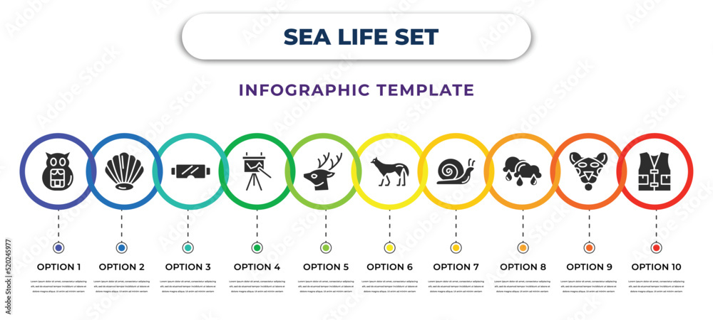 sea life set infographic design template with capybara, clam, goggles ...