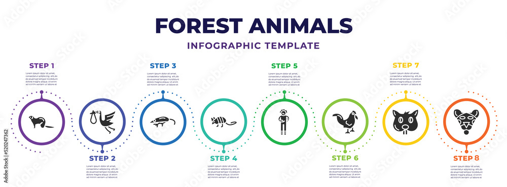forest animals infographic design template with weasel, stork, desman ...