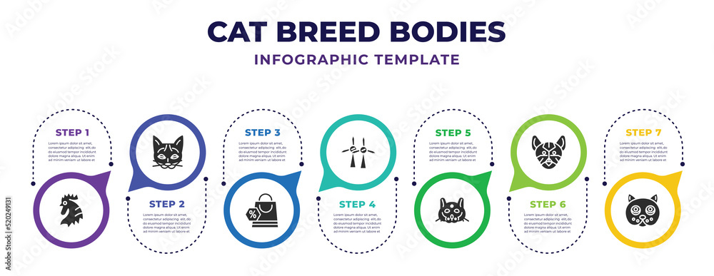 cat breed bodies infographic design template with cock, devon rex cat ...