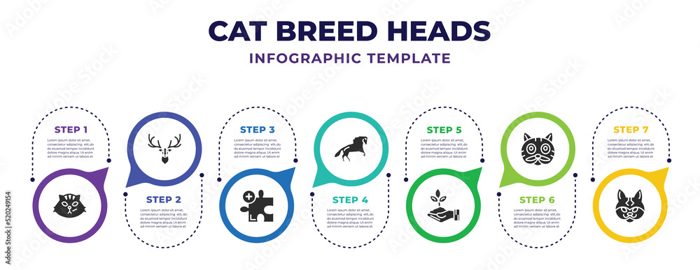 cat breed heads infographic design template with persian cat, elk, pet ...