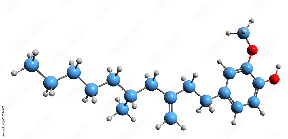 3D image of Gingerol skeletal formula - molecular chemical structure of ...
