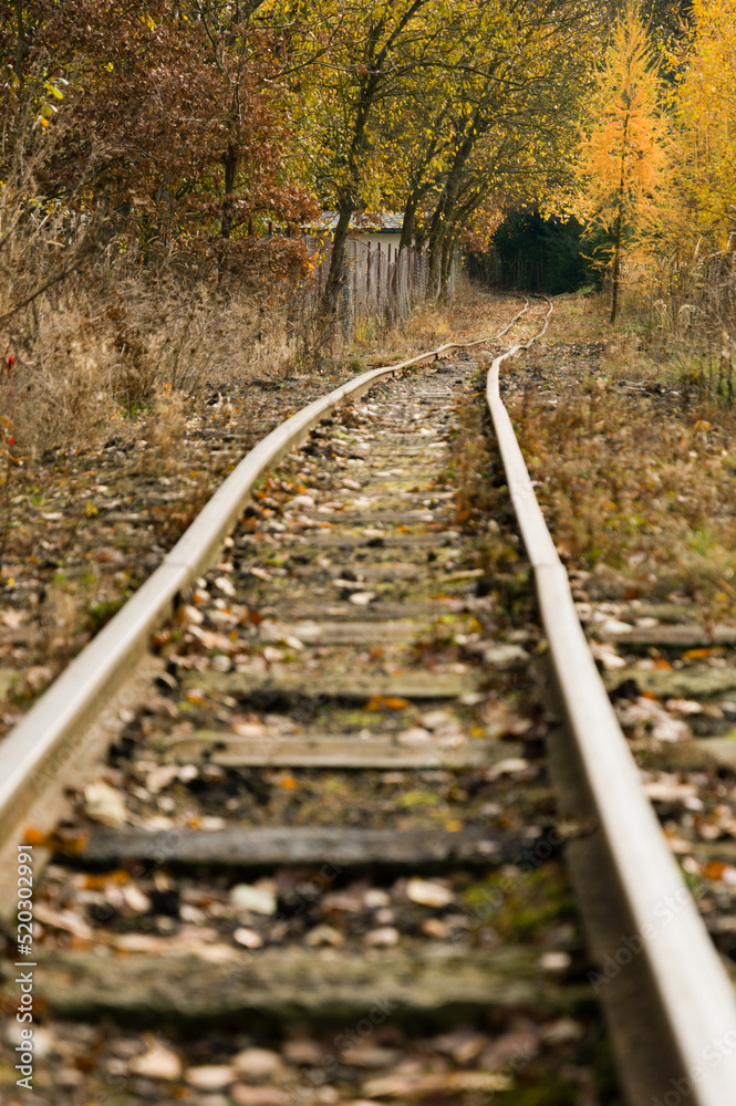 Narrow and abandoned rail tracks in Soos National Nature Reserve, Czech ...