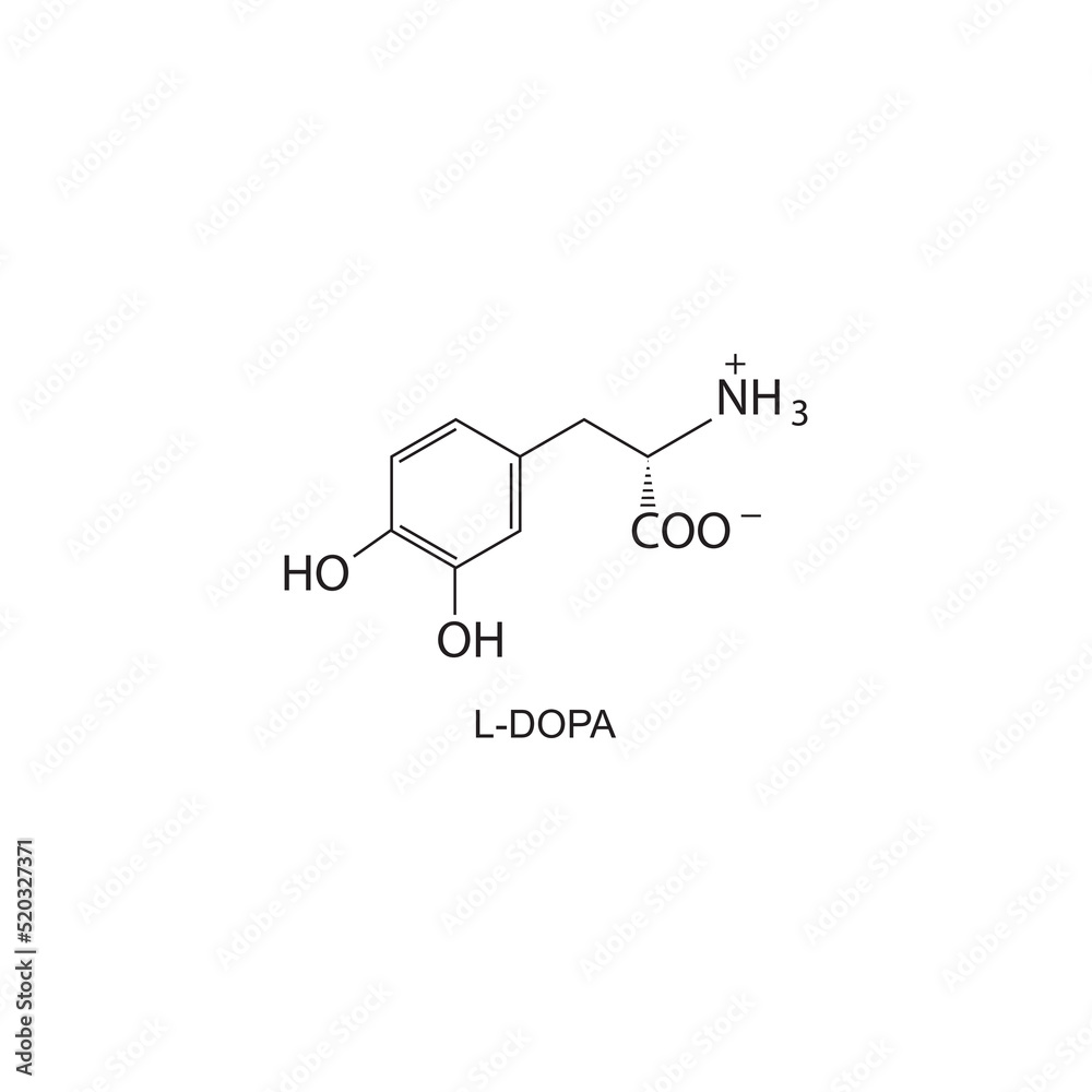 L-DOPA chemical structure on white background. Stock Vector | Adobe Stock
