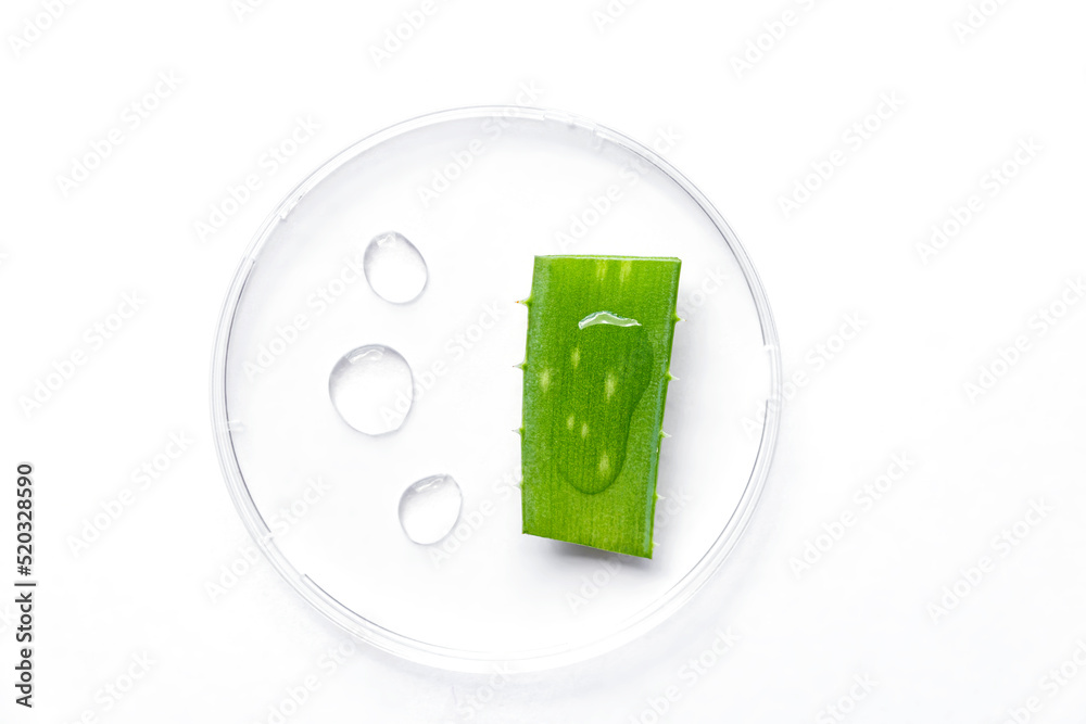 Aloe vera extract research in laboratory with a petri dish on white ...