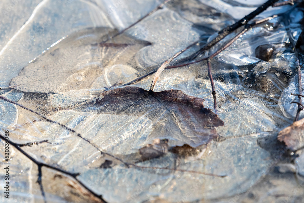 faktura zamarzniętego fragmentu kałuży woda w lód Stock Photo | Adobe Stock