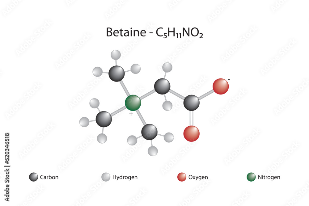 Molecular formula and chemical structure of betaine Stock Vector ...
