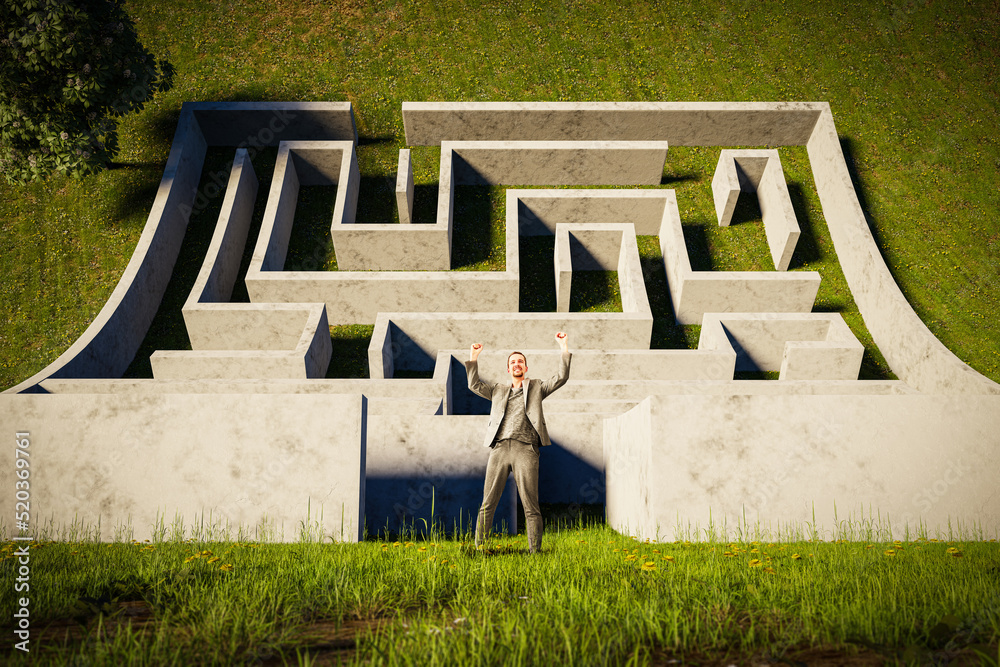 Successful man in the labyrinth - the concept of a difficult career ...