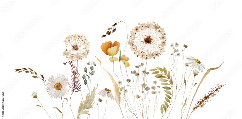 Wildflowers, herbs boho border painted in watercolor. Dried pampas ...