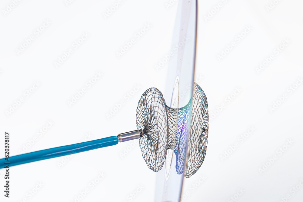 Atrial Septal Defekt. Devices for invasive cardiology procedures ...