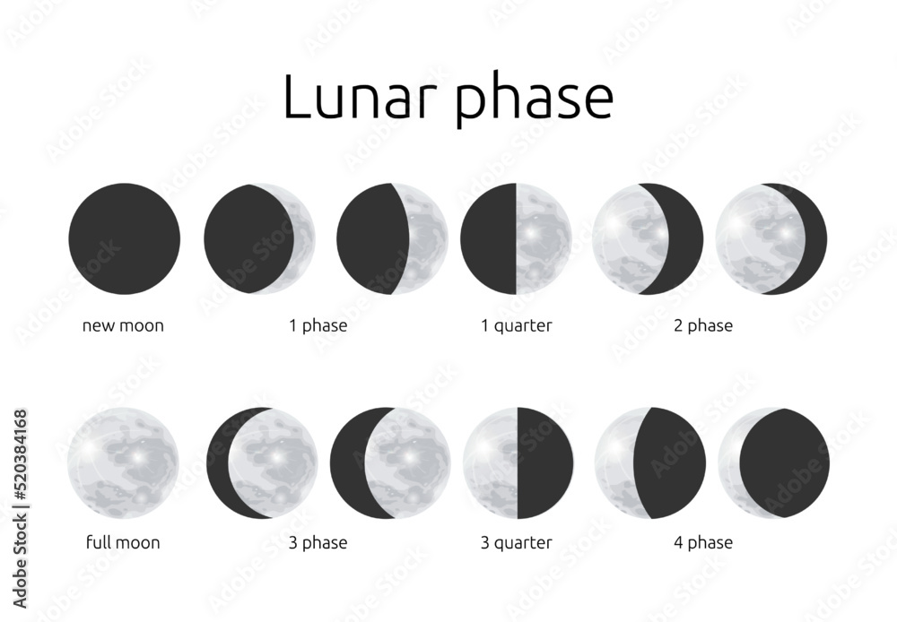 Half and circle moon phases. Astrology calendar of eclipse crescent ...