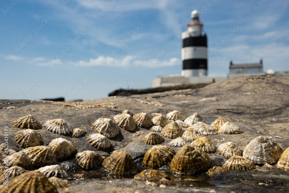 The Hook Lighthouse on the coast of Wexford in Ireland on the Hook Head ...