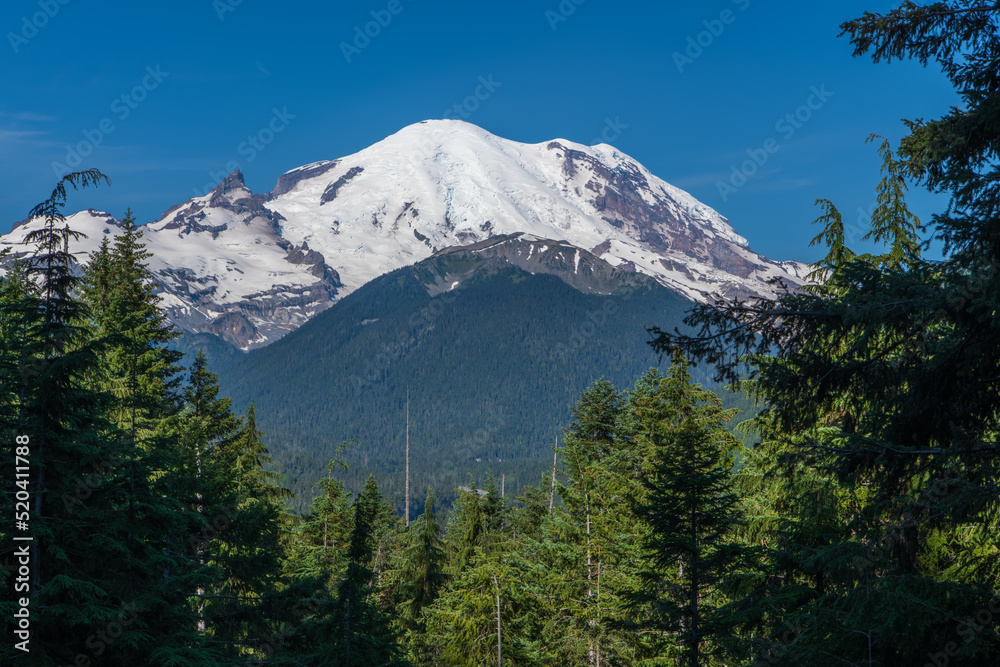 Landscape of Goat Island Mountain and Mount Rainier in Mount Rainier ...