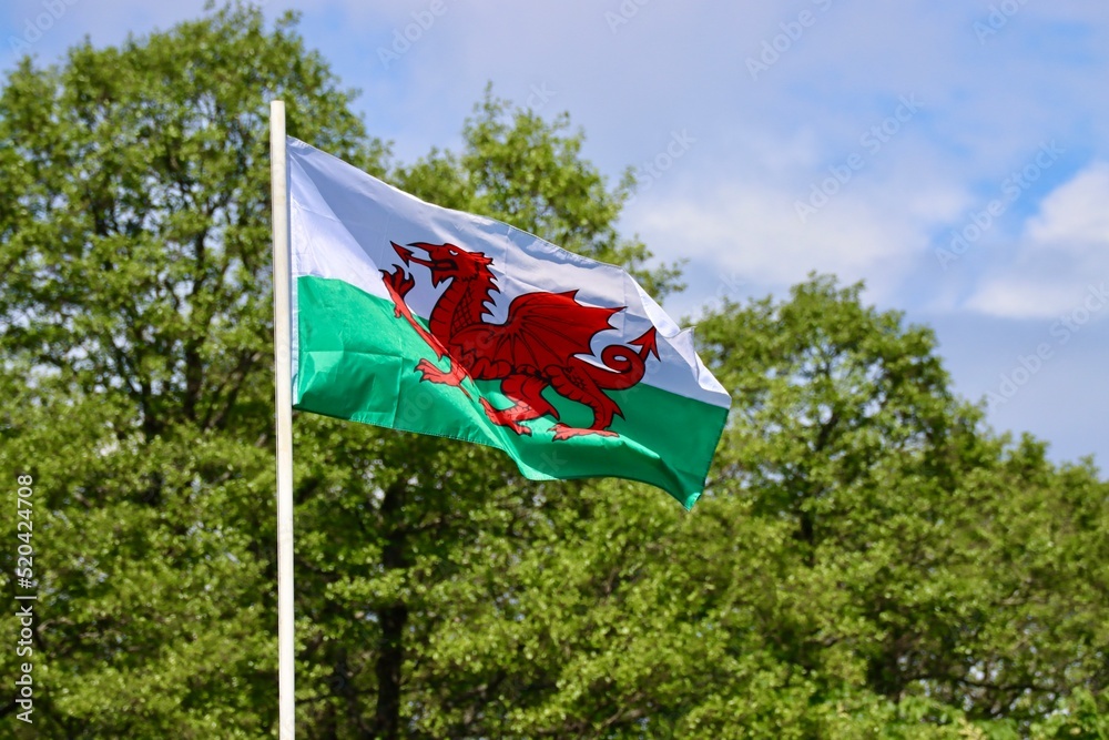 Wales flag - red dragon passant on white and green - bold and proud ...