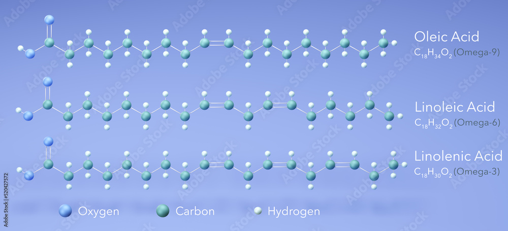 oleic, linoleic, linolenic acid, omega-9, omega-6, omega-3. Molecular ...