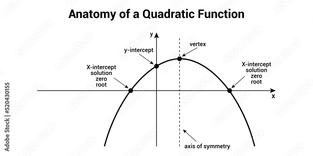 Vecteur Stock Anatomy of quadratic function. Parts of a parabola ...