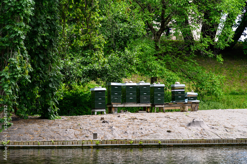 Collection of bee keeping boxes next to a pond in a green park, honey ...