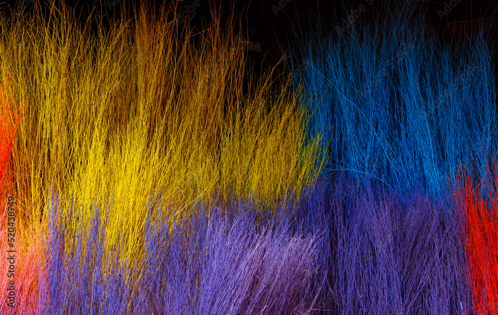 Colorful many dry grass and leaf has been arranged with a beautiful ...