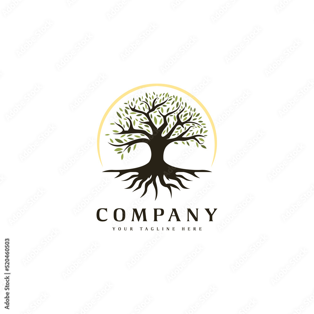 Oak banyan tree logo design with tree and root vector illustration for ... Oak banyan tree logo design with tree and root vector illustration for ...