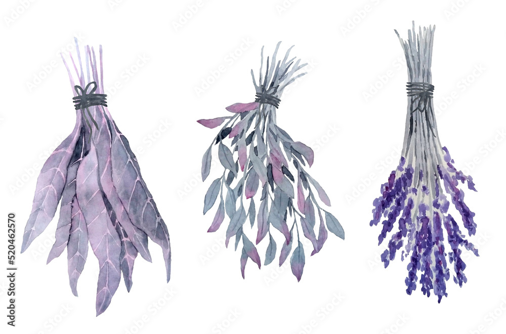 Watercolor hand drawn dried herbs, witch witchcraft plant harvest ...