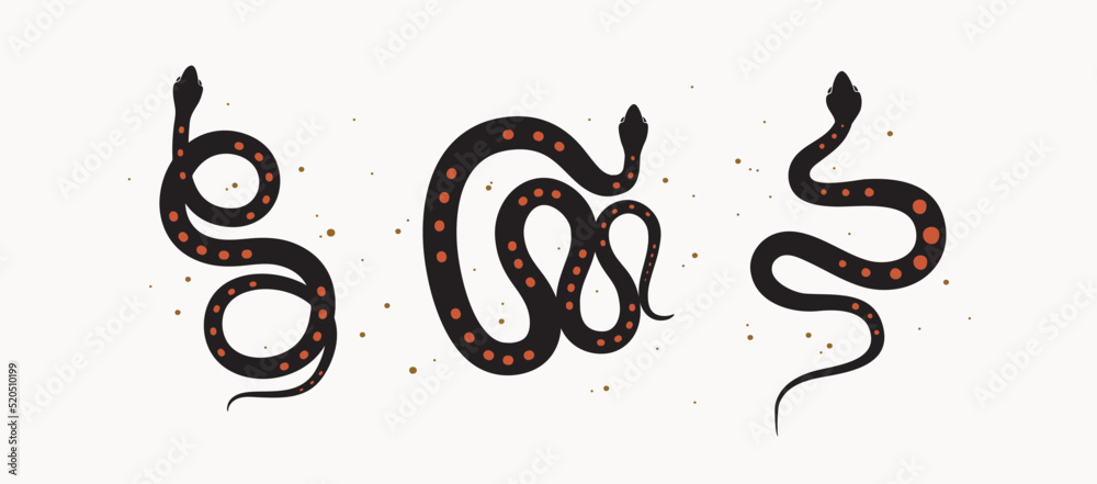 Set of magical black snakes on an isolated light background. Design ...