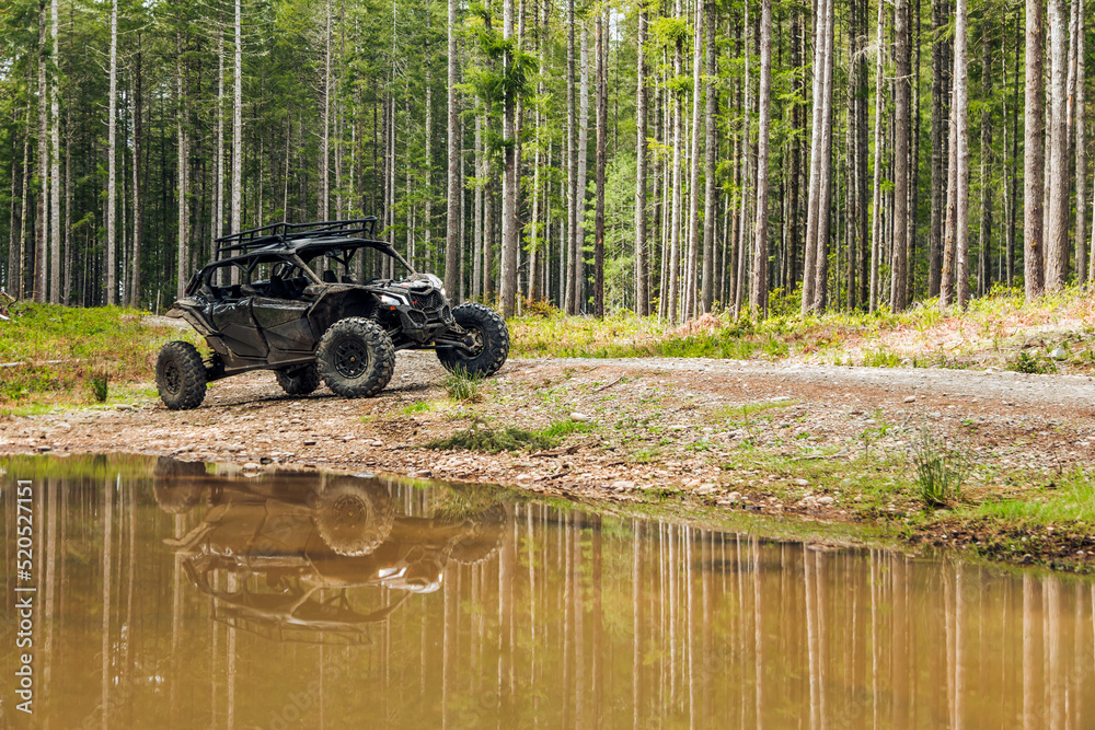 UTV in the woods dirty from mud in front of water Stock Photo | Adobe Stock