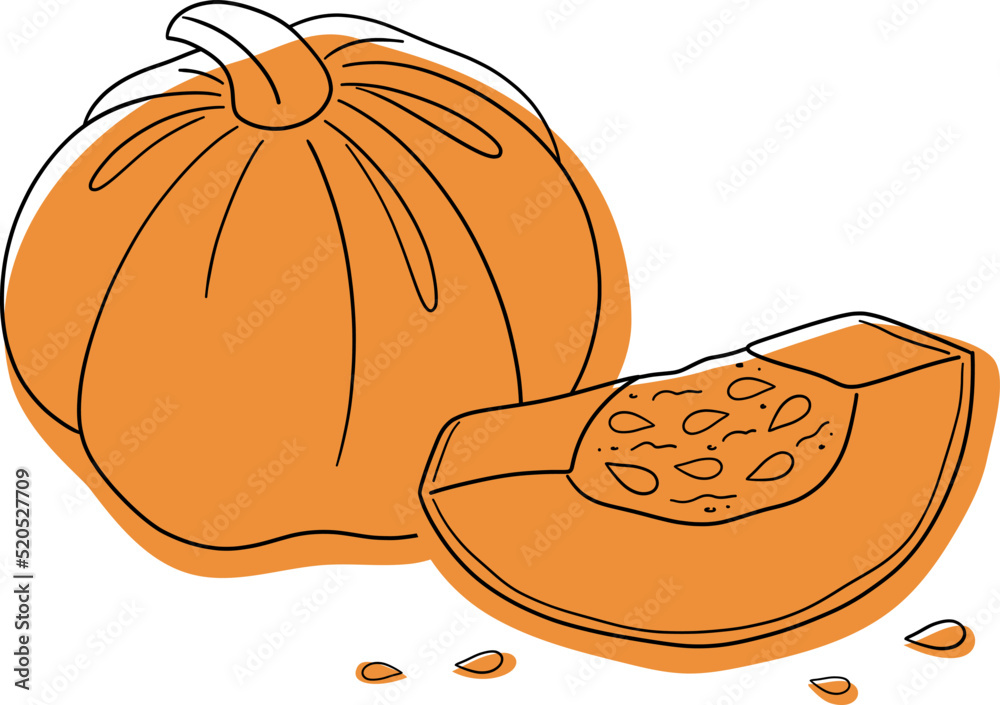 Vector stylized pumpkin slice with seeds. Pumpkin in the cut. Pumpkin ...