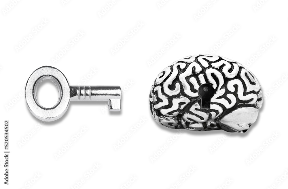 Human brain with a keyhole and a key on white Stock Photo | Adobe Stock