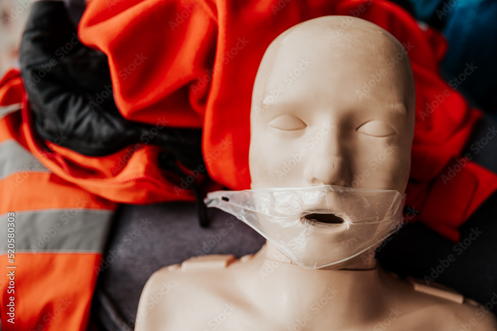 close up: ife size training dummy model, doll face, detail, mannequin ...