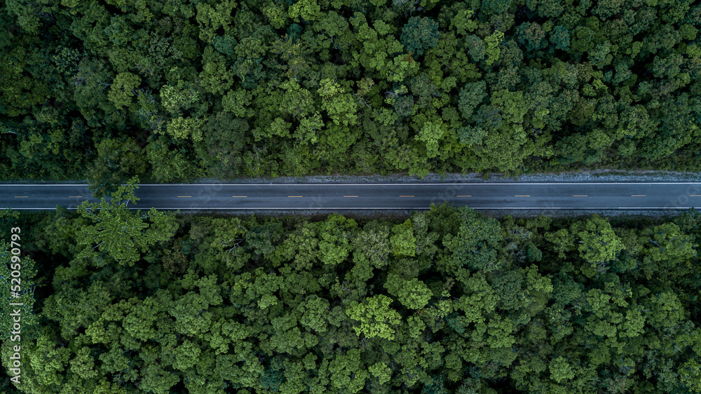 Aerial view road in the middle forest, Top view road going through ...