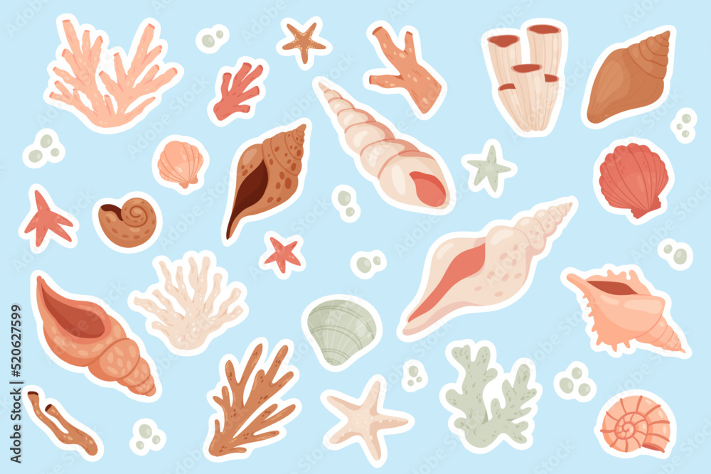 Cute sea shells sticker set vector illustration. Cartoon beach or ...