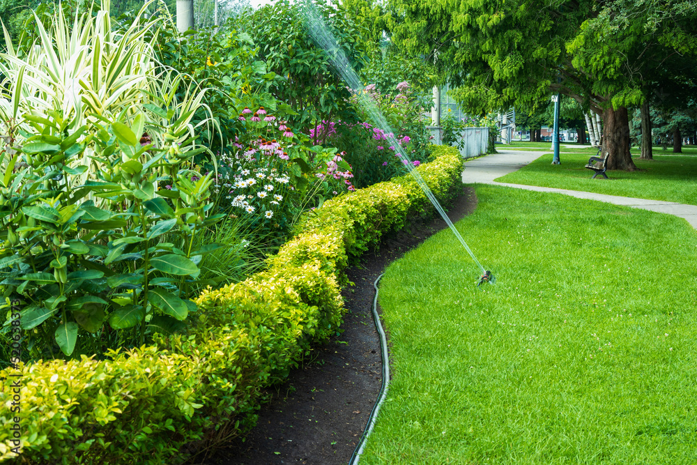 A sprinkler supports a flower bed in a pollinator garden located in Kew ...