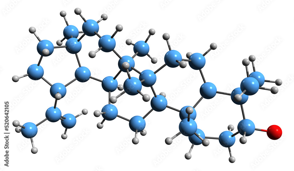 3D image of lupeol skeletal formula - molecular chemical structure of ...