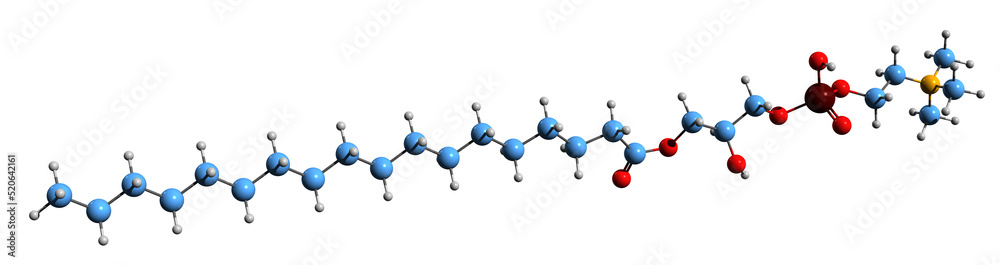 3D image of Lysophosphatidylcholine skeletal formula - molecular ...