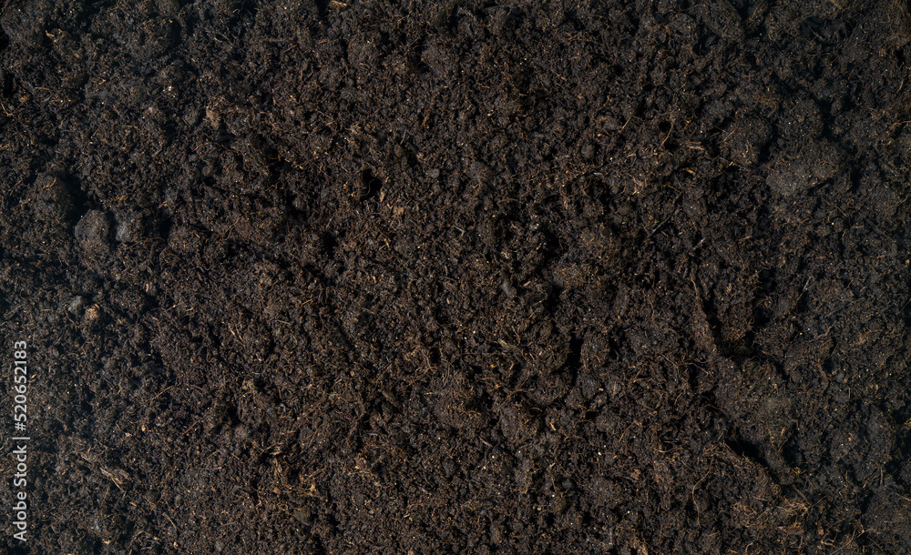 Soil background top view, Soil texture Stock Photo | Adobe Stock