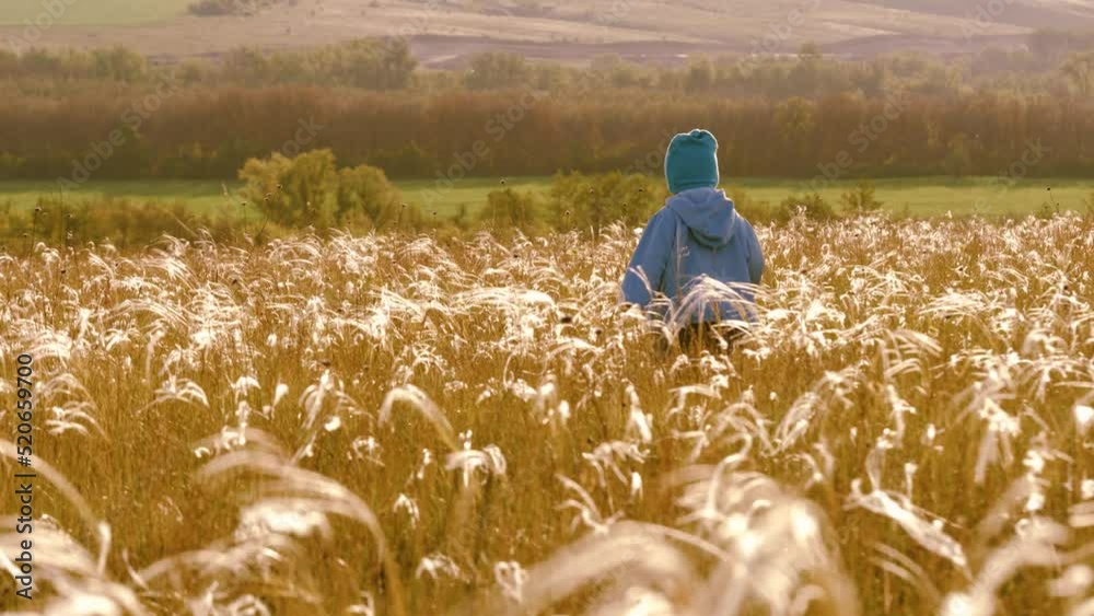 Happy family. small child walking across field. Happy family concept ...