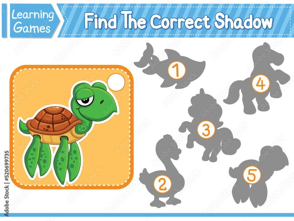 Find The Correct Shadow Find And Match The Correct Shadow Of Turtle ...