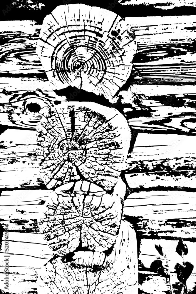 Grunge texture of old logs with a clear texture of old wood. Cut down ...